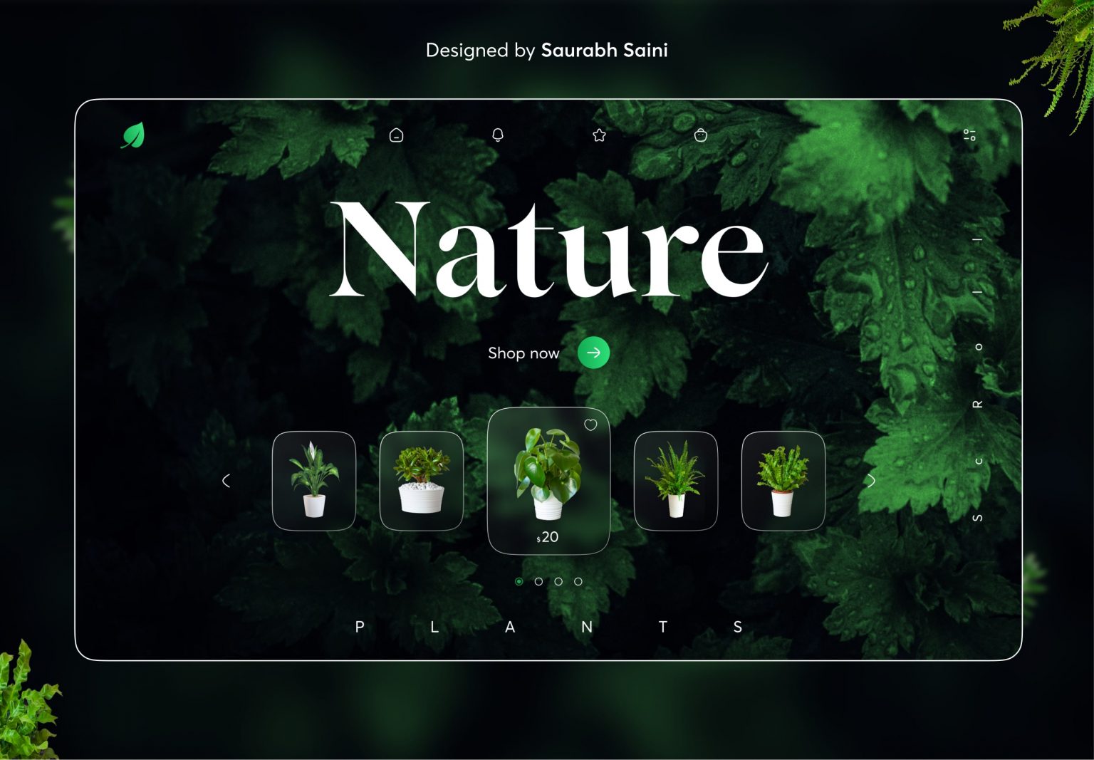 Portfolio Saurabh Crafts